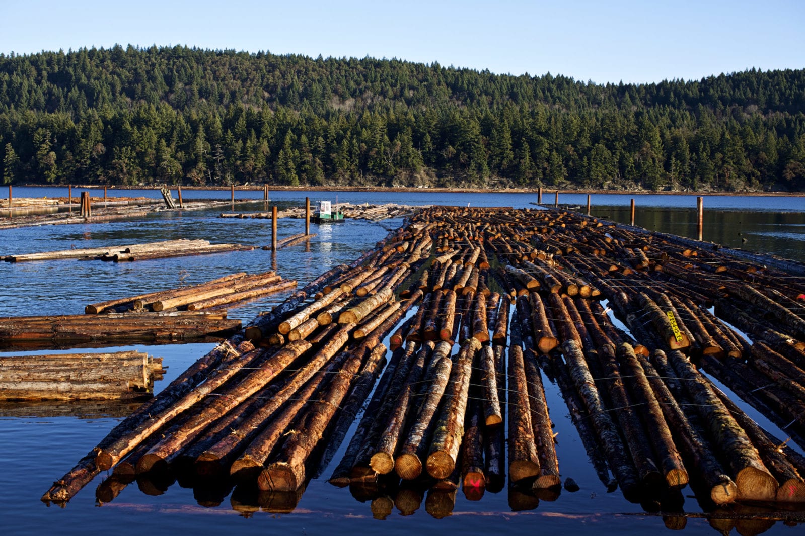 Market Initiatives Program | Forestry Innovation Investment